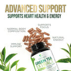 green tea extract for healthy metabolism