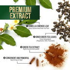 green tea extract for healthy metabolism