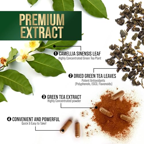 green tea extract for healthy metabolism