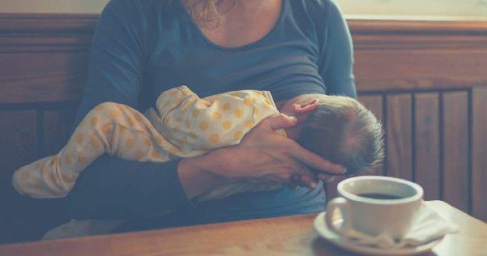 green tea extract for lactation support