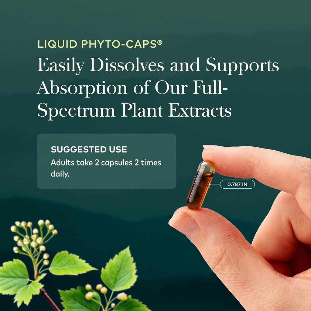 green tea extract for metabolism support