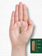 Green tea extract for metabolism