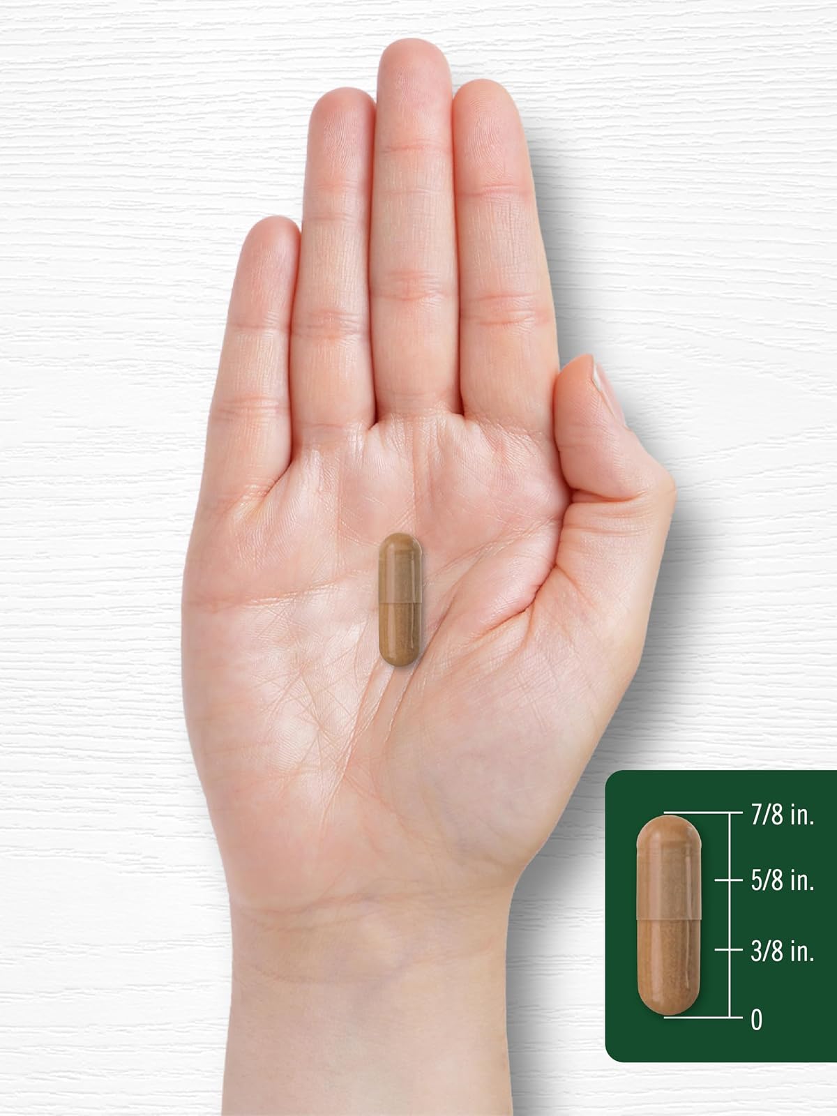 Green tea extract for metabolism