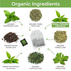 Green tea extract for natural energy
