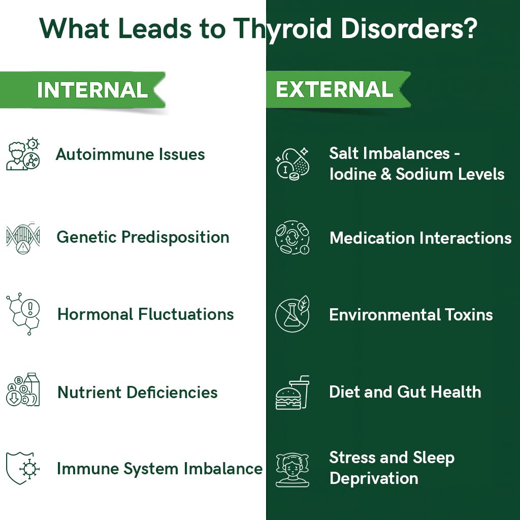 green tea extract for overall wellness