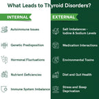 green tea extract for overall wellness