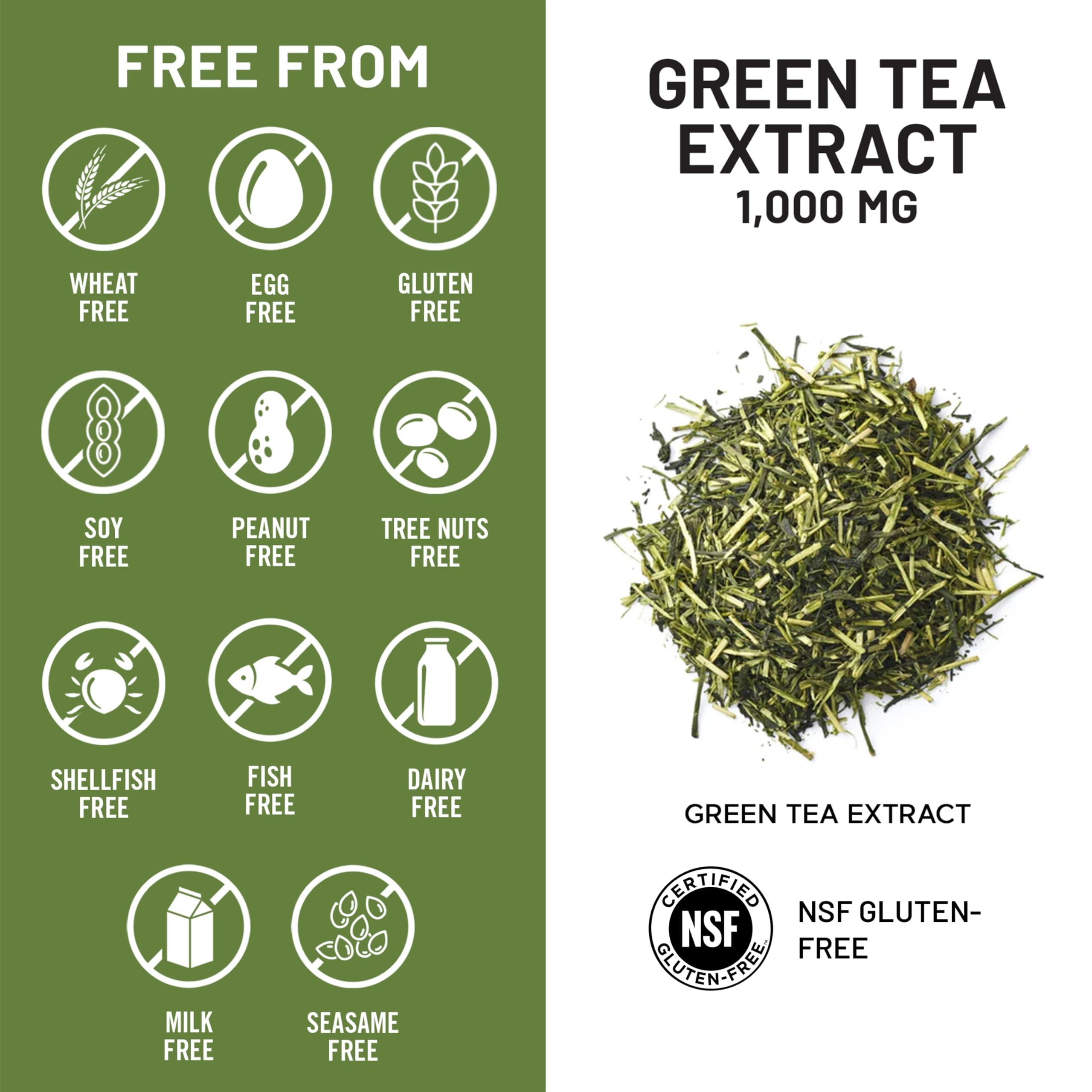 green tea extract for weight loss