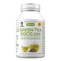 green tea extract for weight loss