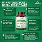 green tea extract for weight loss