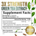 green tea extract for weight loss