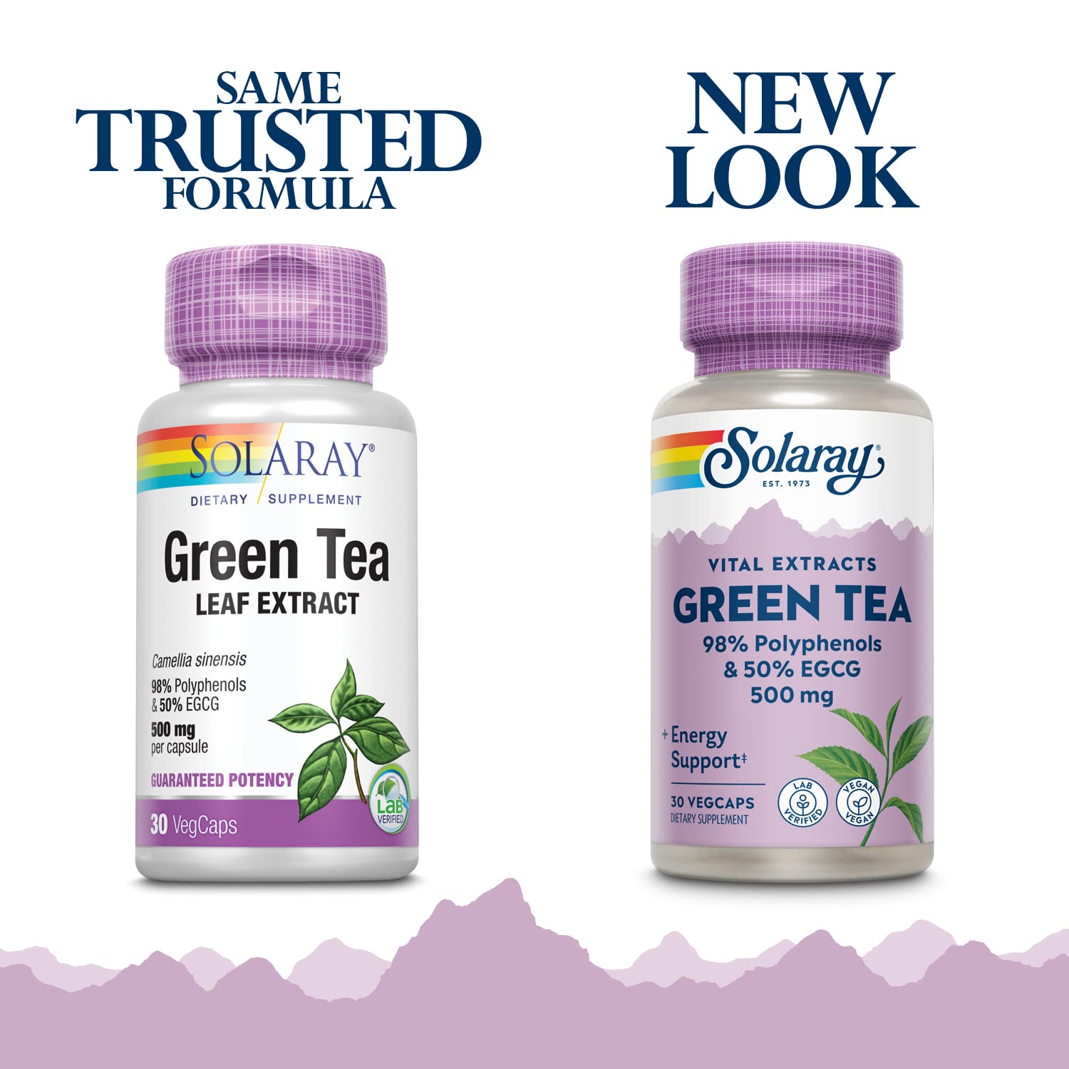 green tea extract for weight management