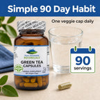 green tea extract for weight management