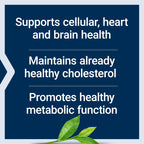 green tea extract for weight management