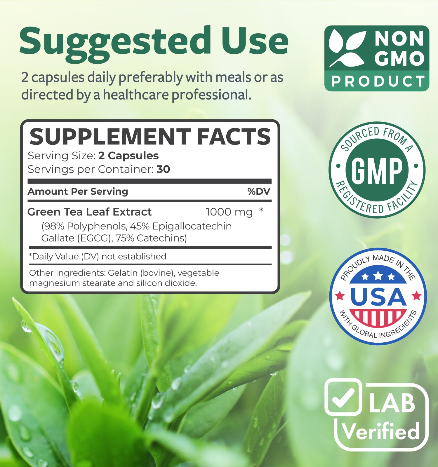 green tea extract for weight management