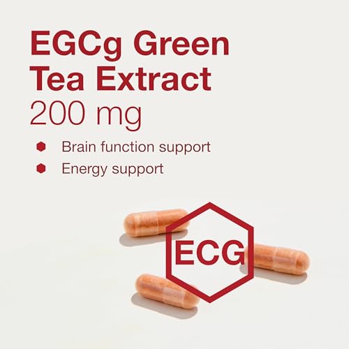 green tea extract for weight management