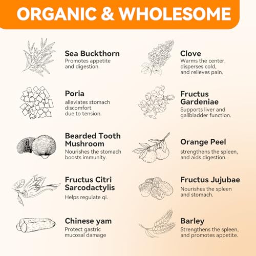 green tea extract for wellness