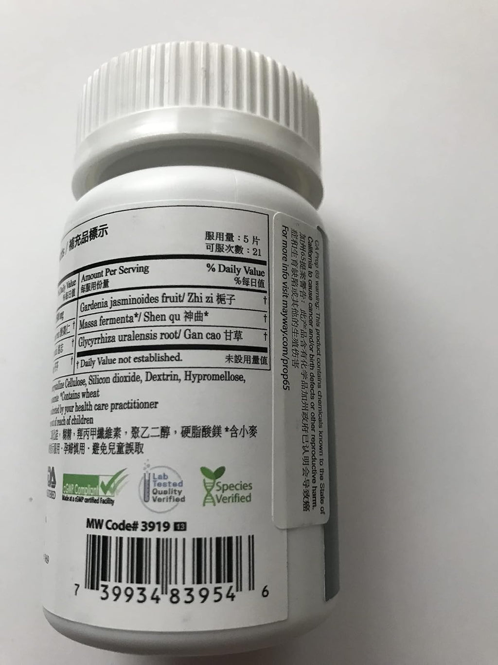 green tea extract for wellness