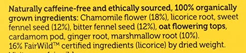green tea extract for wellness