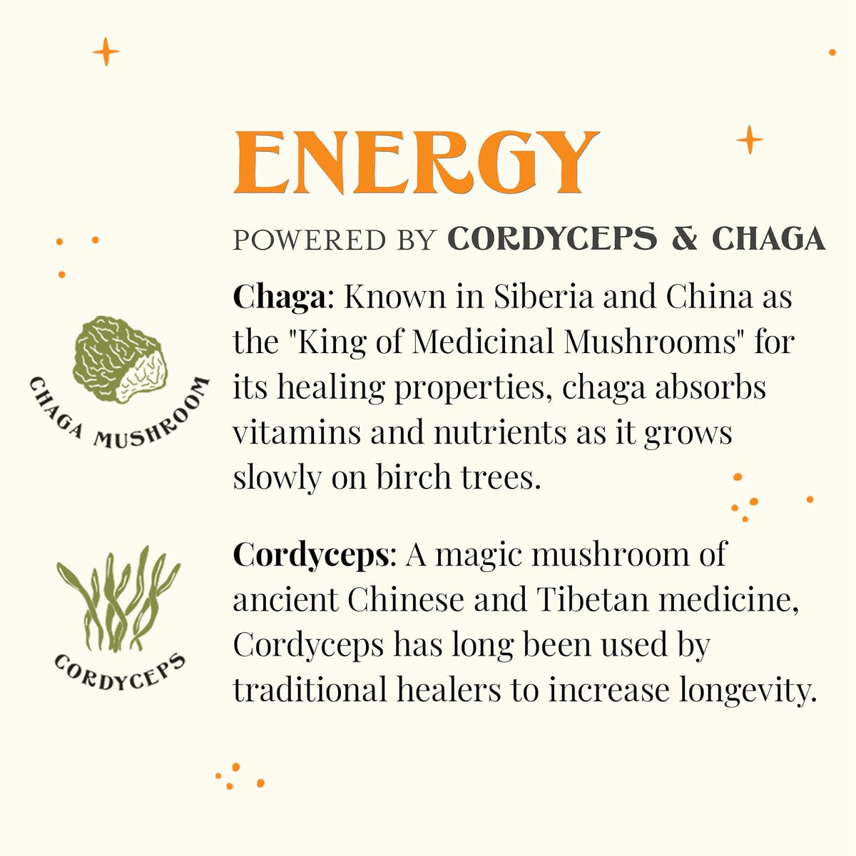 green tea extract herbal infusion