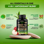 green tea extract immune support