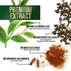 green tea extract immune system aid