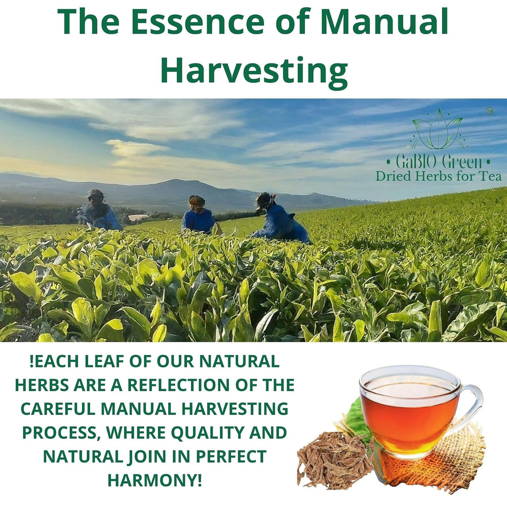 Green tea extract in resealable bag