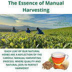 Green tea extract in resealable bag