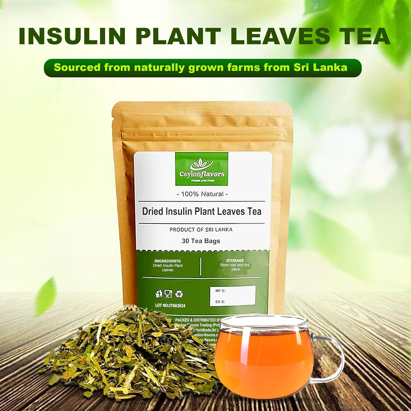 green tea extract infusion