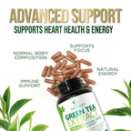 green tea extract natural metabolism enhancer