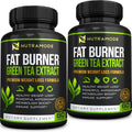 green tea extract weight loss support