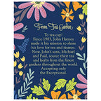 green tea extract wellness blend