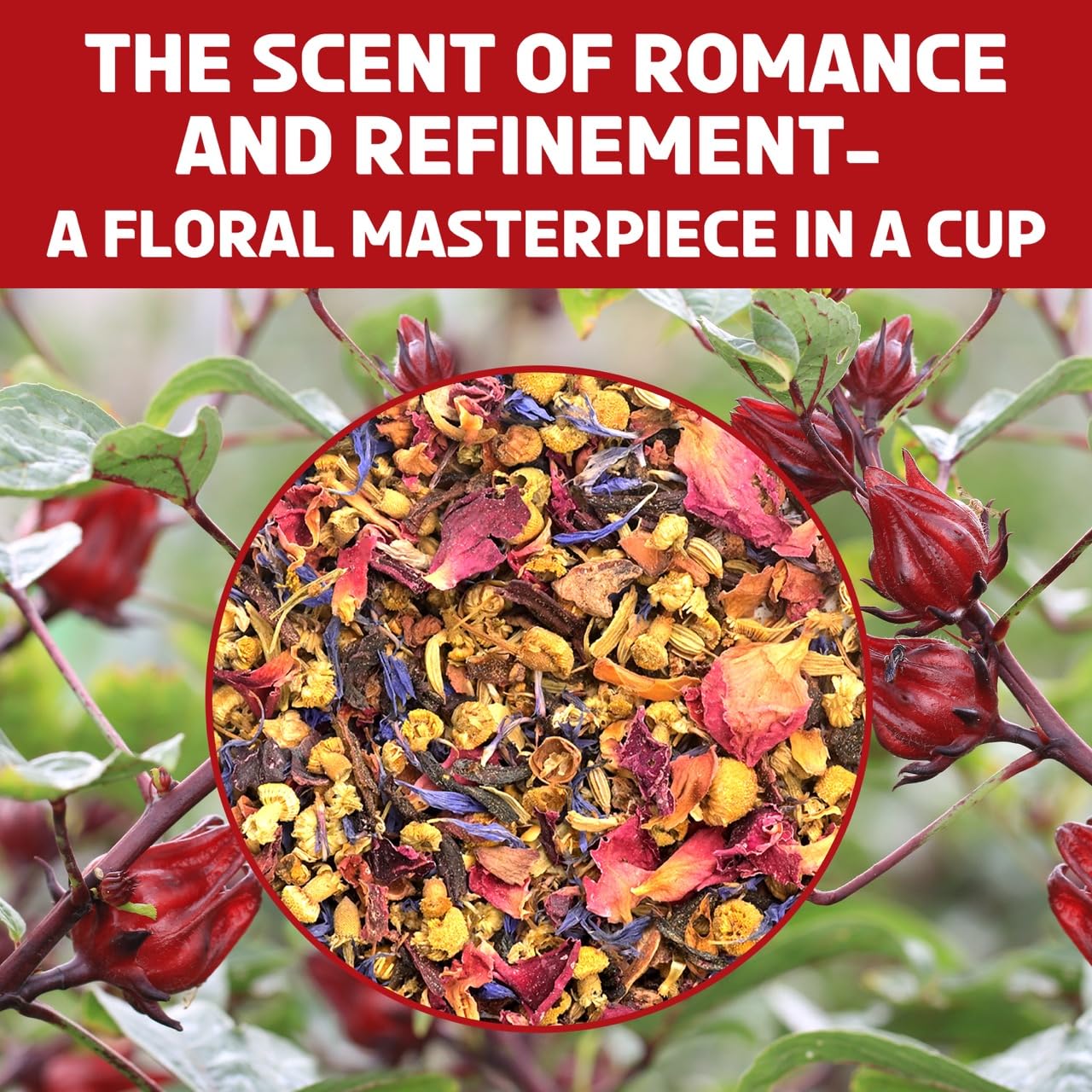green tea extract with hibiscus