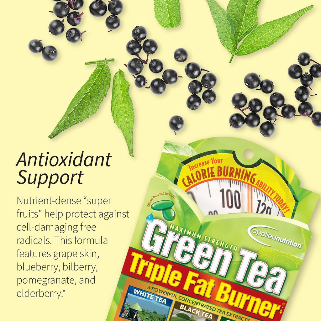 green tea fat burner for metabolism support
