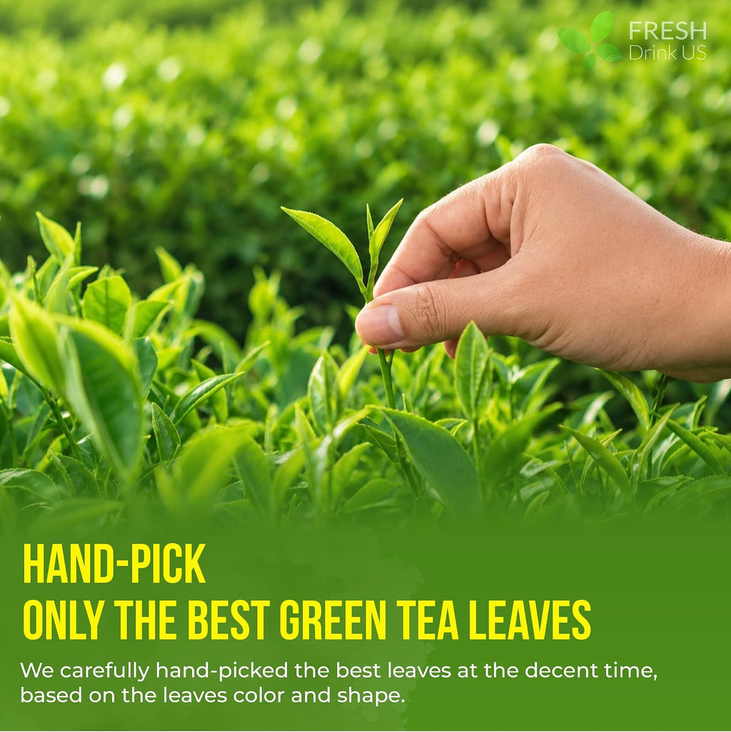green tea for daily detox