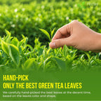 green tea for daily detox