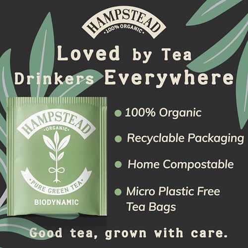 green tea for daily hydration
