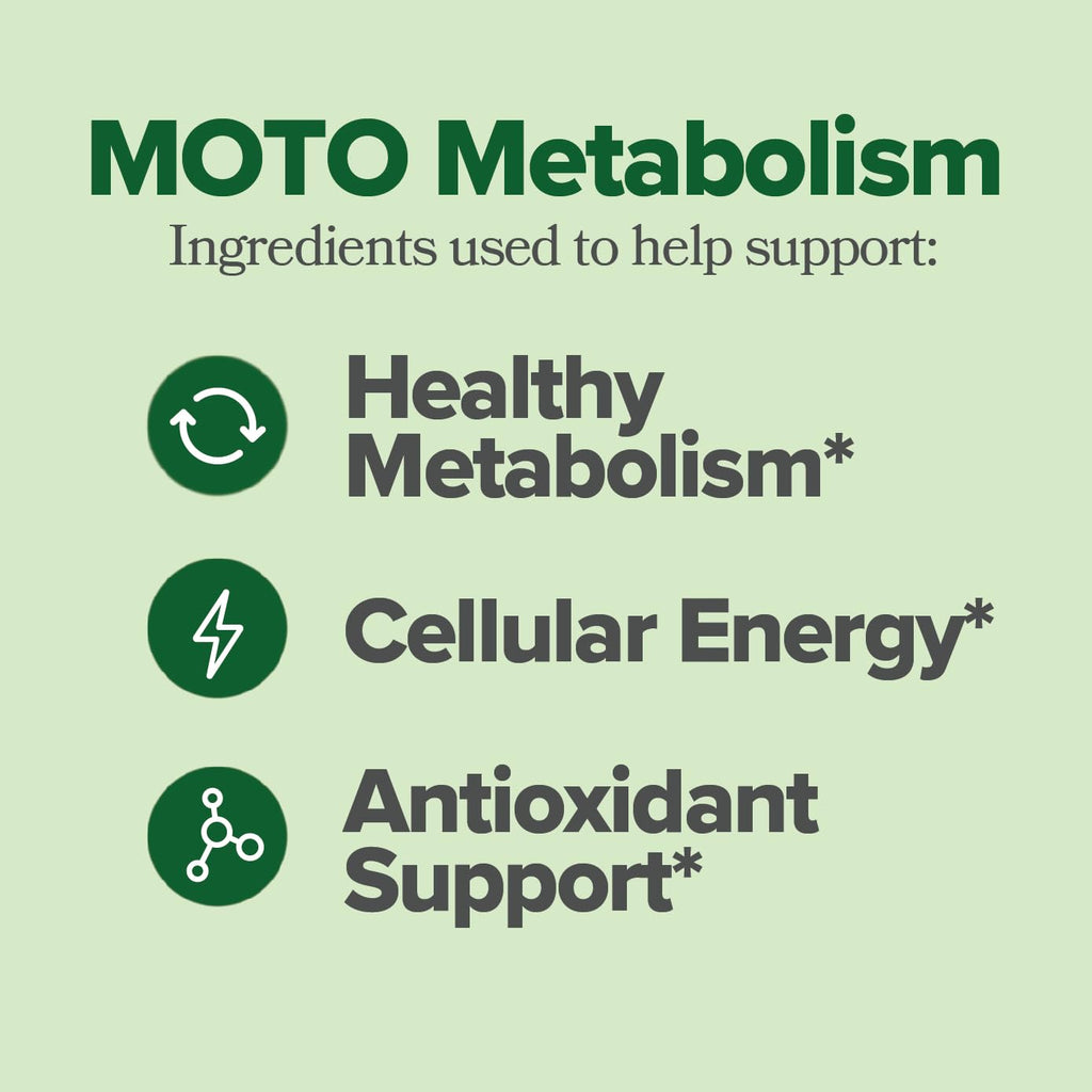 green tea for energy boost