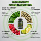 green tea for fat burning