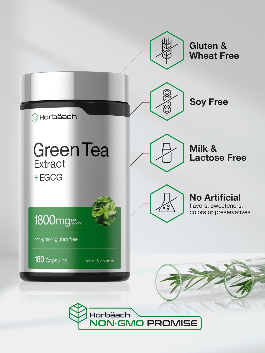 green tea for healthy metabolism