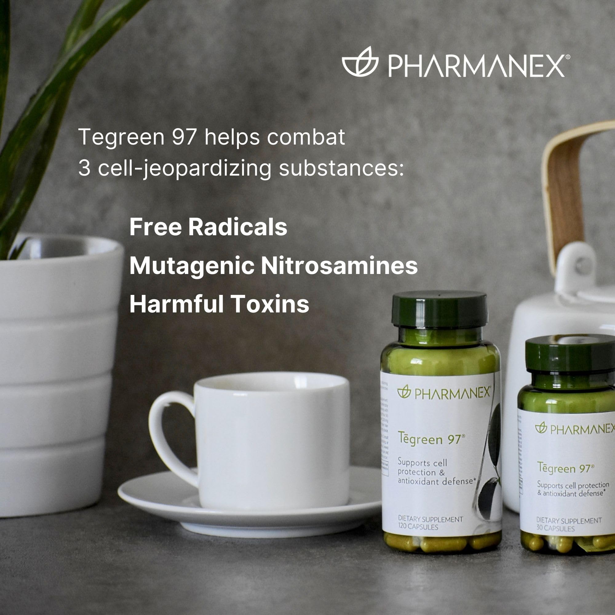green tea for immune support