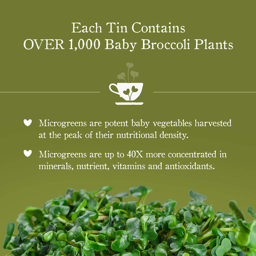 green tea for immune support