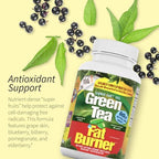 green tea for metabolism boost
