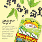 green tea for metabolism support
