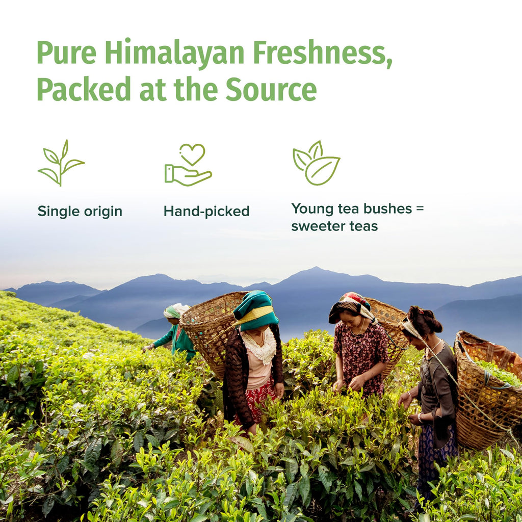 green tea for natural energy boost