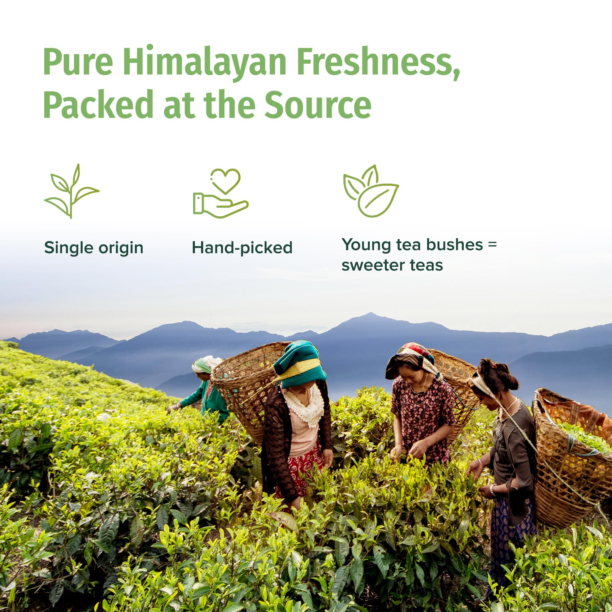 green tea for natural energy boost