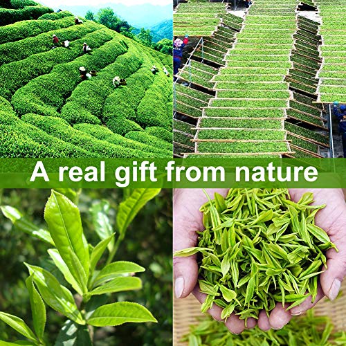 green tea for skin health benefits