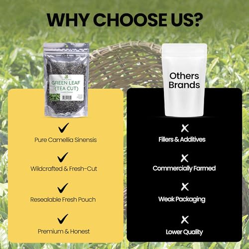 green tea for wellness