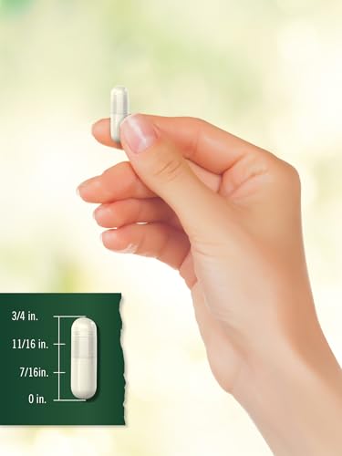 green tea infused iodine capsules