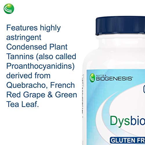 green tea pills for antioxidant benefits