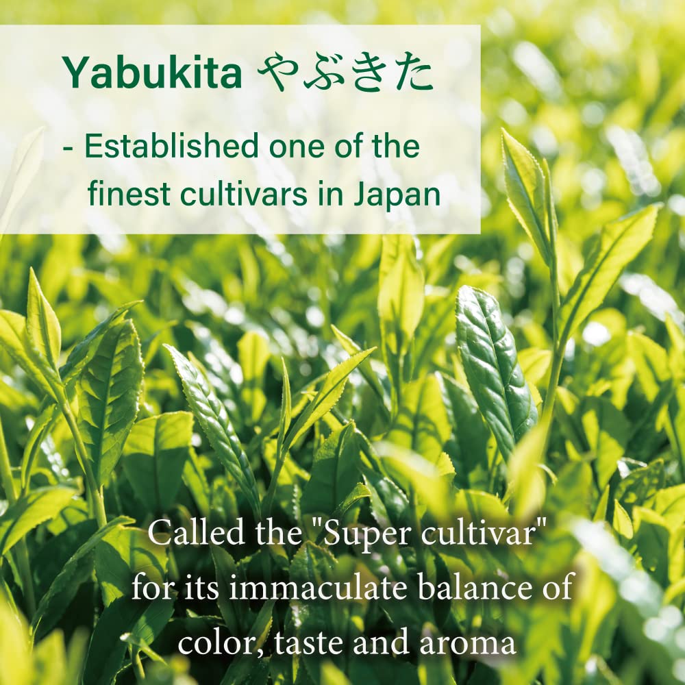 green tea with high EGCG content